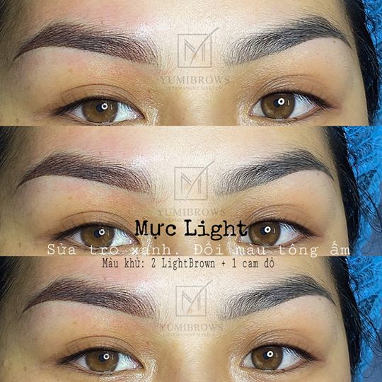 Mực phun xăm thẩm mỹ Light - Dòng Mực Hữu Cơ An Toàn, Siêu Bám